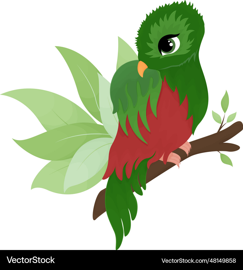 Cartoon quetzal Royalty Free Vector Image - VectorStock
