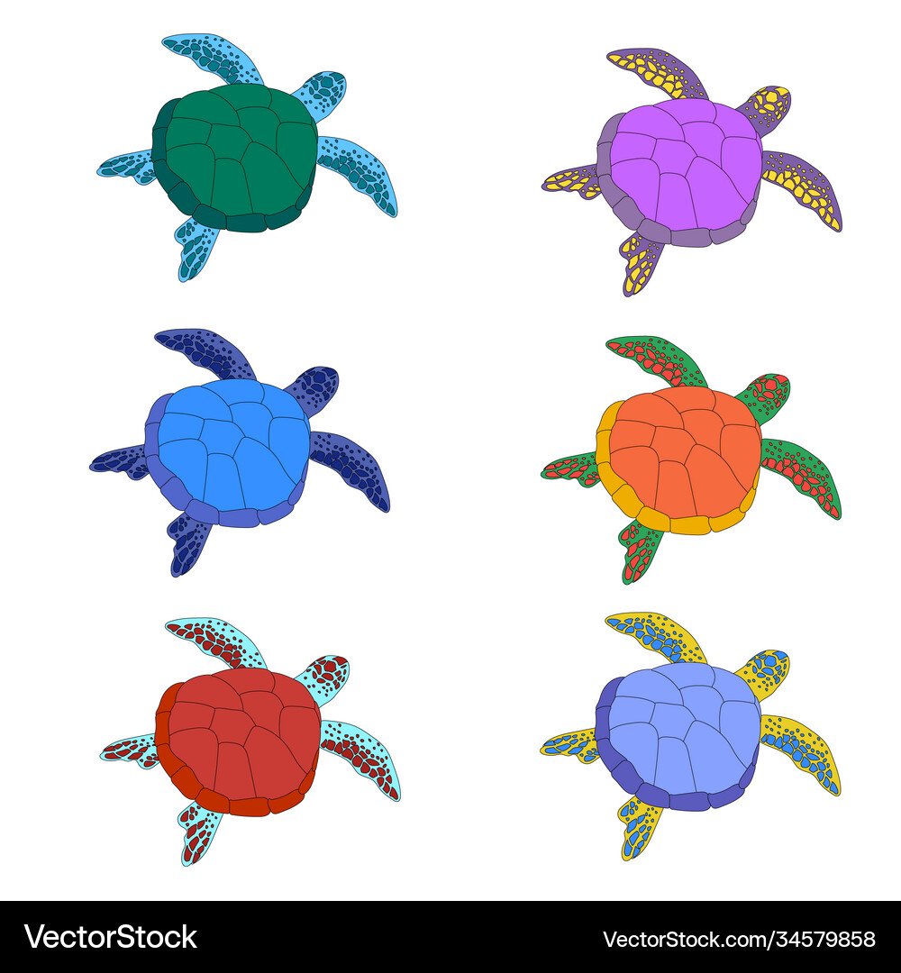 Cartoon turtle six set cute multicolored Vector Image