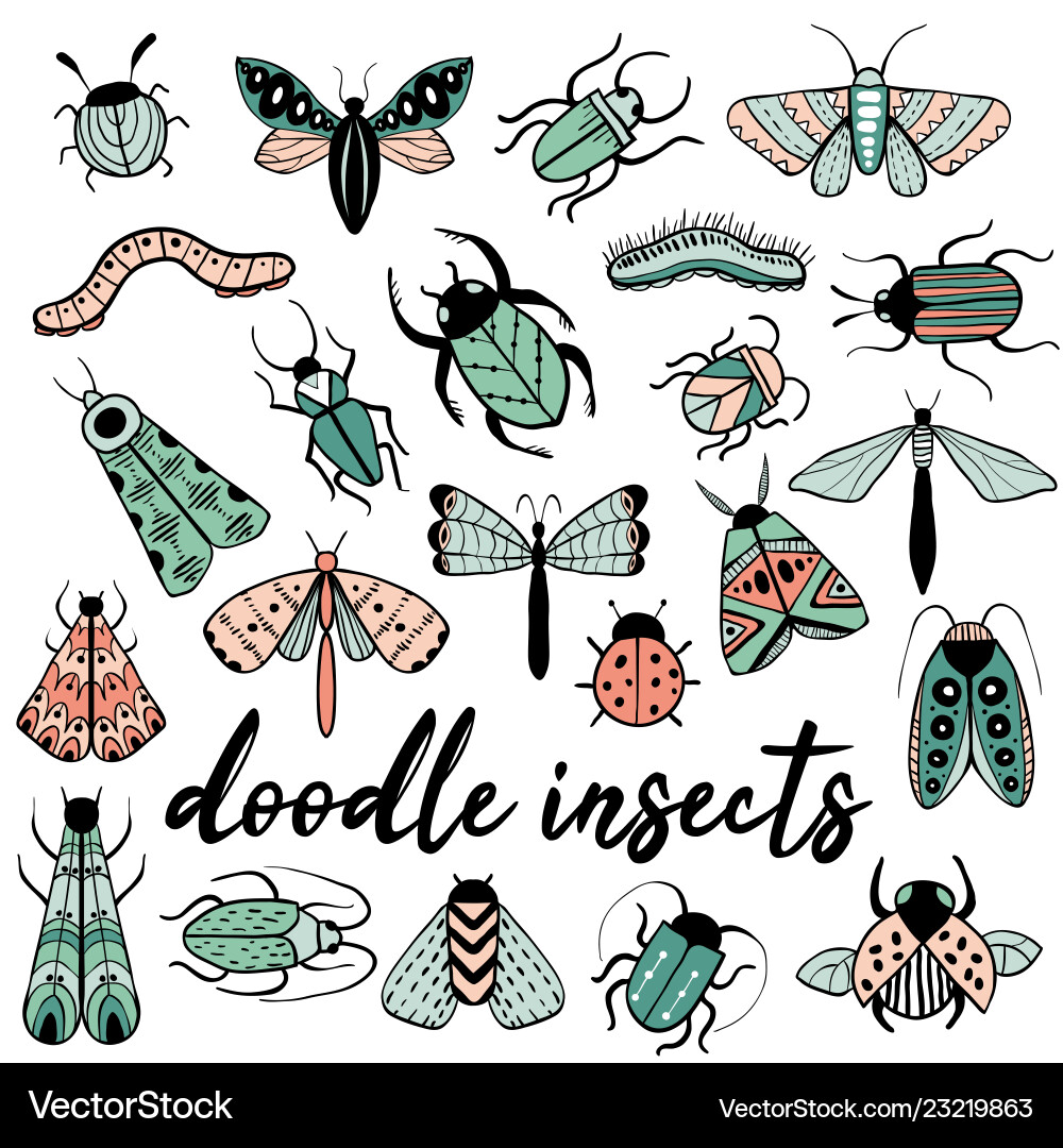 Big colorful hand drawn doodle set with insects Vector Image