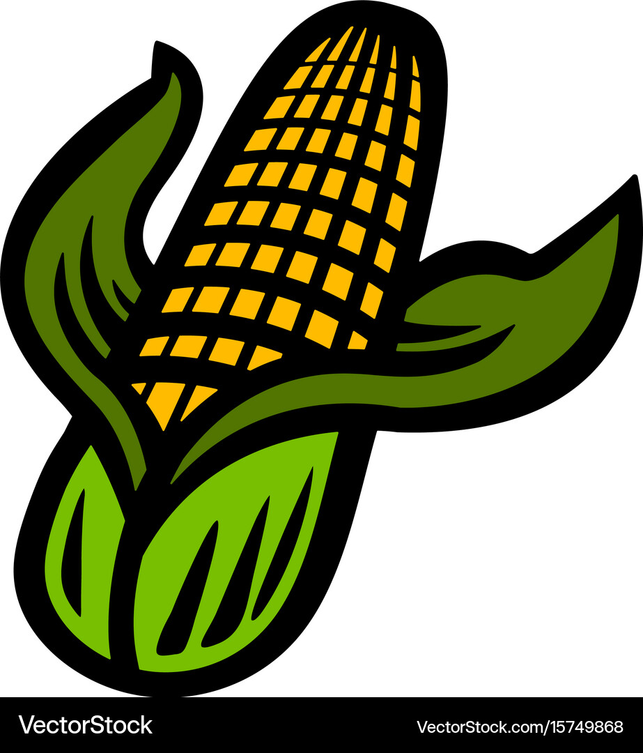 Corn Royalty Free Vector Image - VectorStock