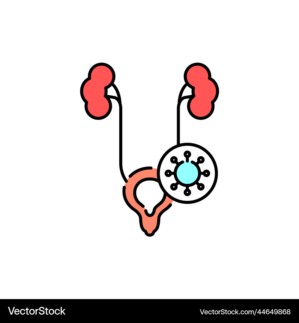 Genitourinary system virus disease color line icon