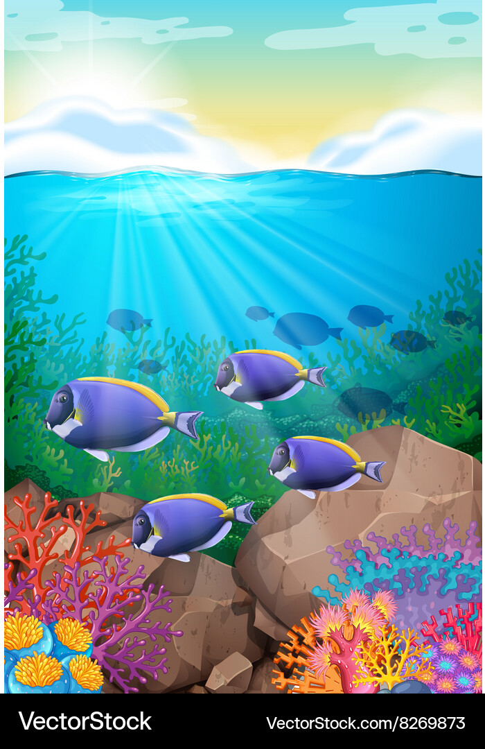 Colorful Fish in Underwater Scene Royalty Free Vector Image