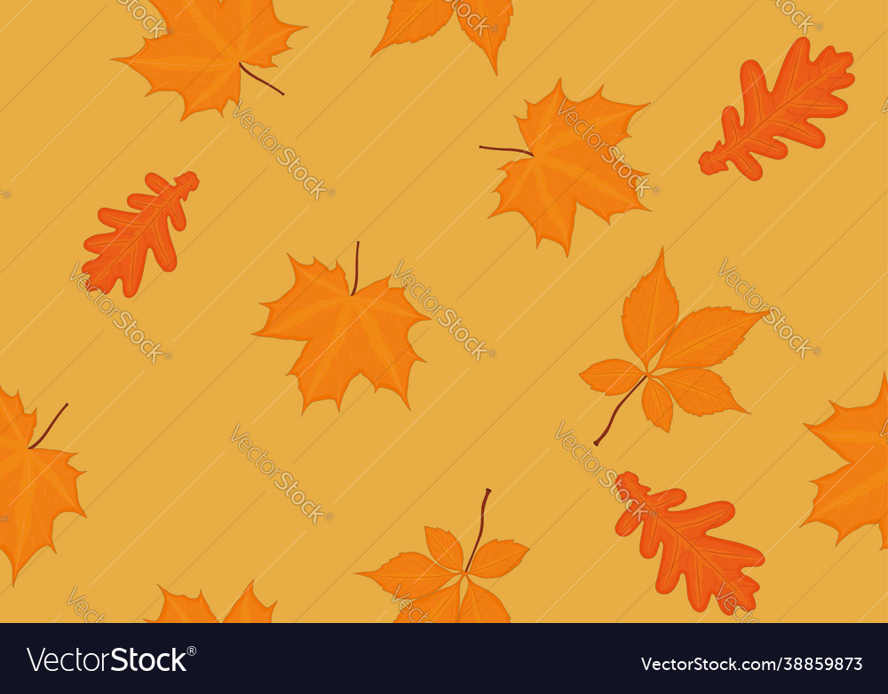 Fall back Royalty Free Vector Image - VectorStock