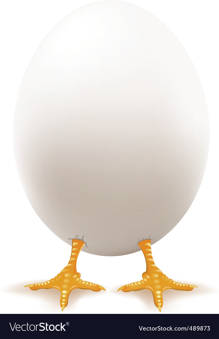 White egg Royalty Free Vector Image - VectorStock