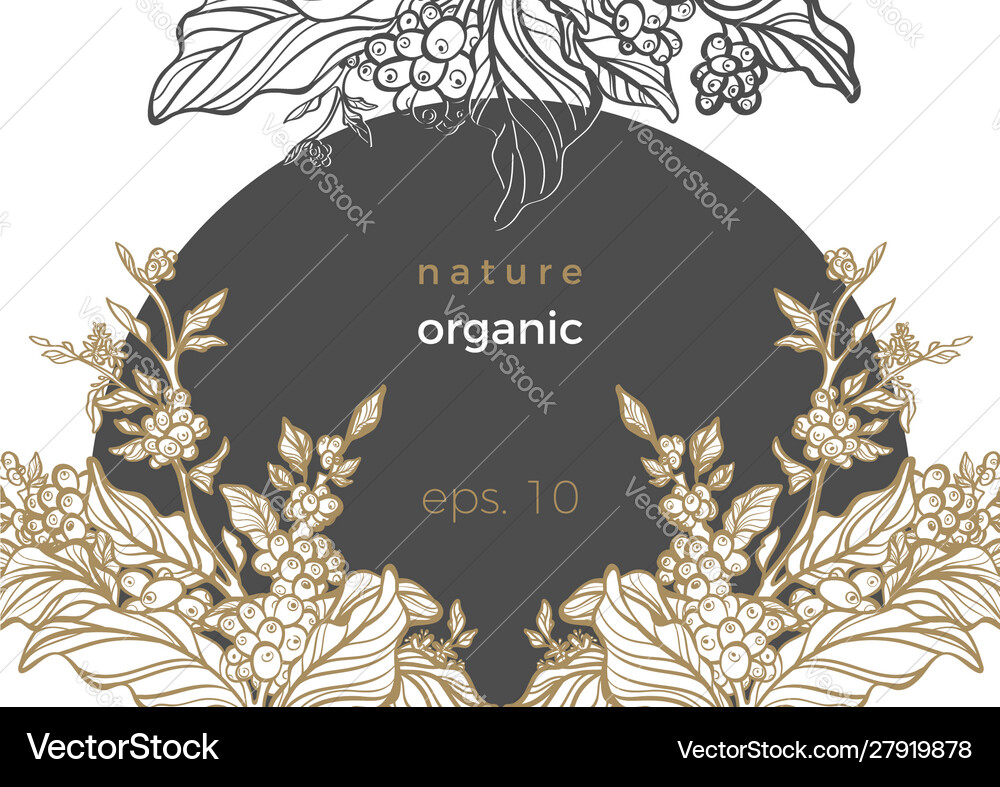 Nature organic design coffee branch Royalty Free Vector
