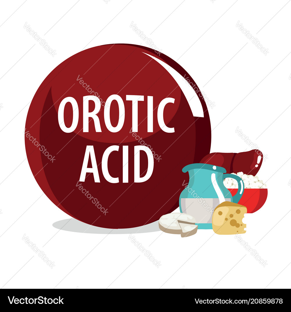 Orotic acid vitamin b13 Royalty Free Vector Image