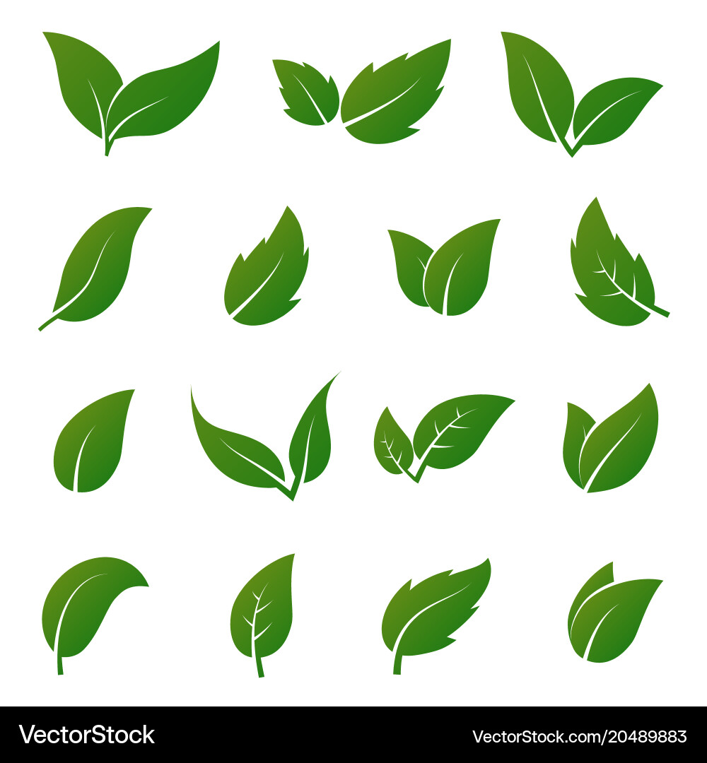 Green leaf icons spring leaves ecology Royalty Free Vector
