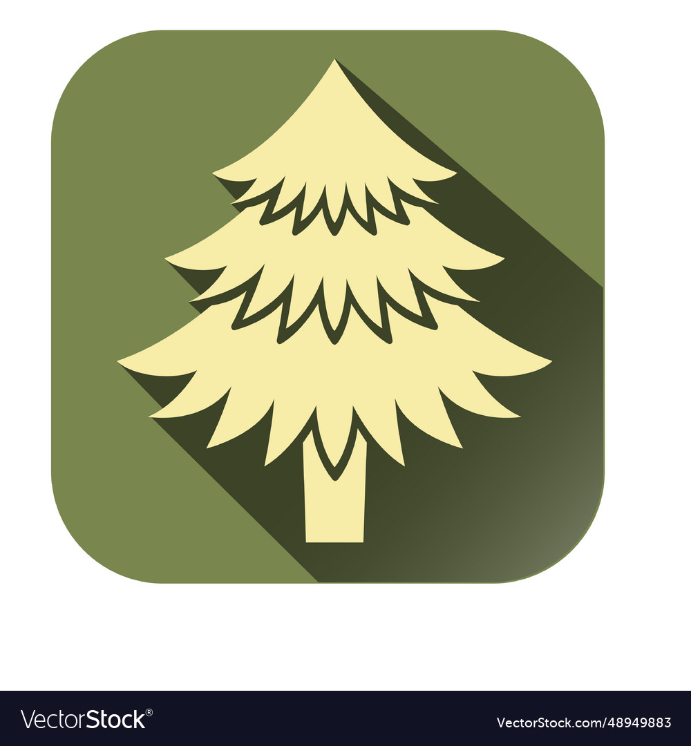 Pine tree square icon Royalty Free Vector Image