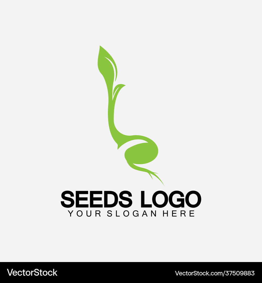 Plant seeds logo concept template growing seed Vector Image