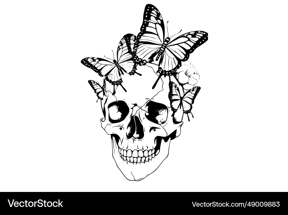 Skull with butterfly hand drawn ink sketch Vector Image