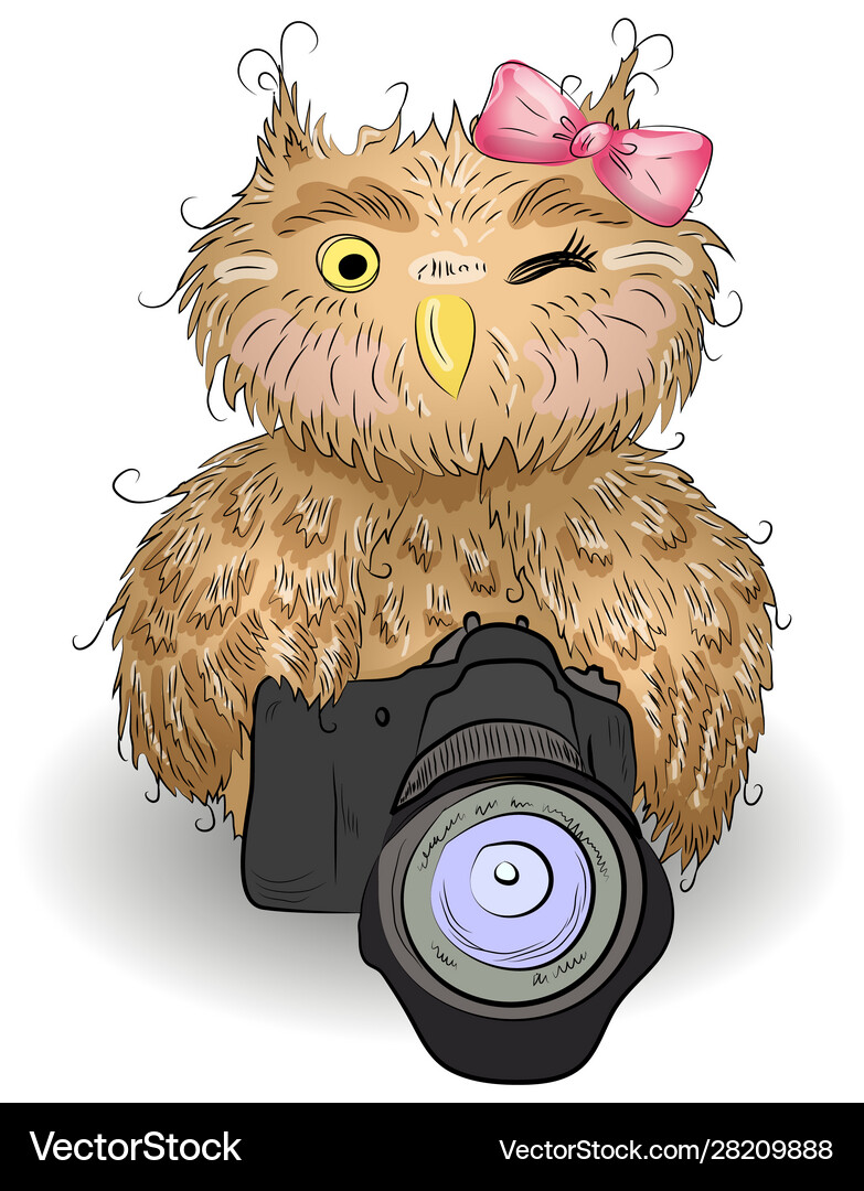 Cute brown owl with a camera and bow hand-drawing Vector Image