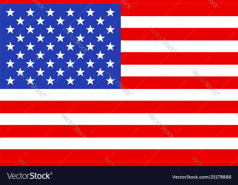 Flag rectangular shape Royalty Free Vector Image