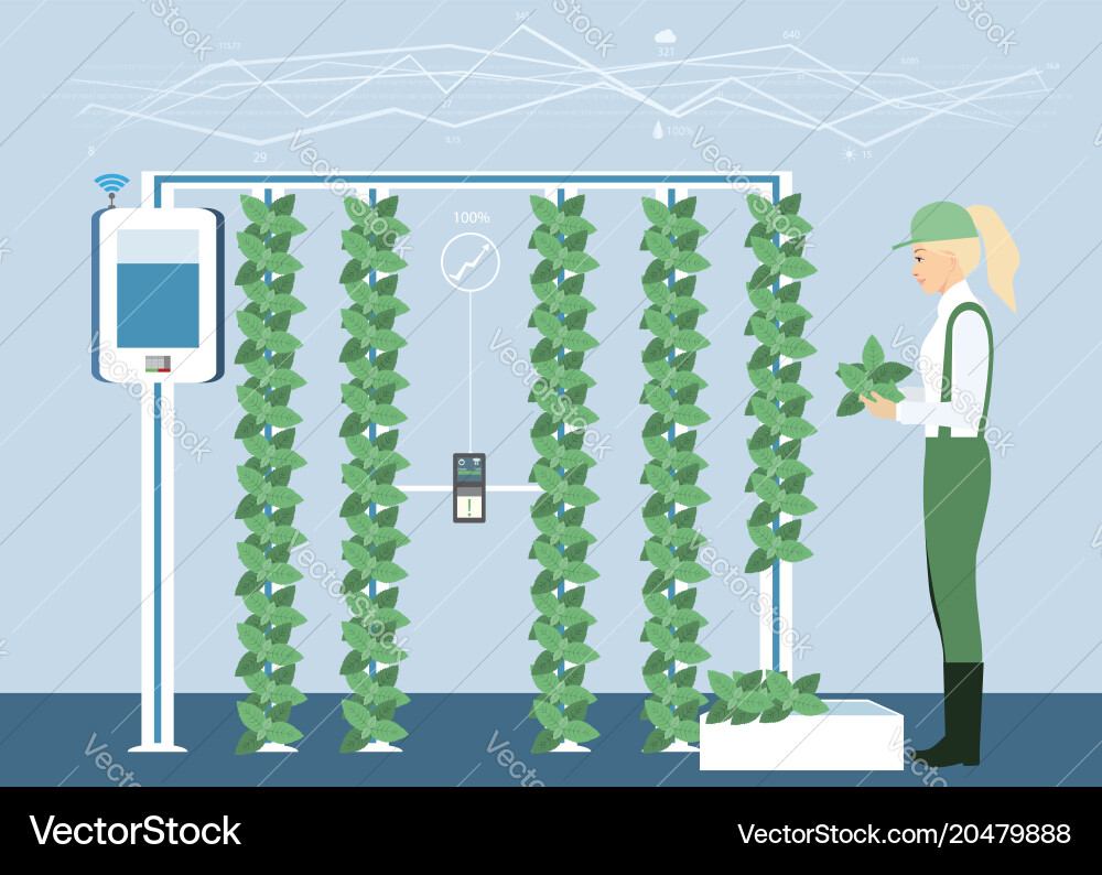 Growing plants on the field Royalty Free Vector Image
