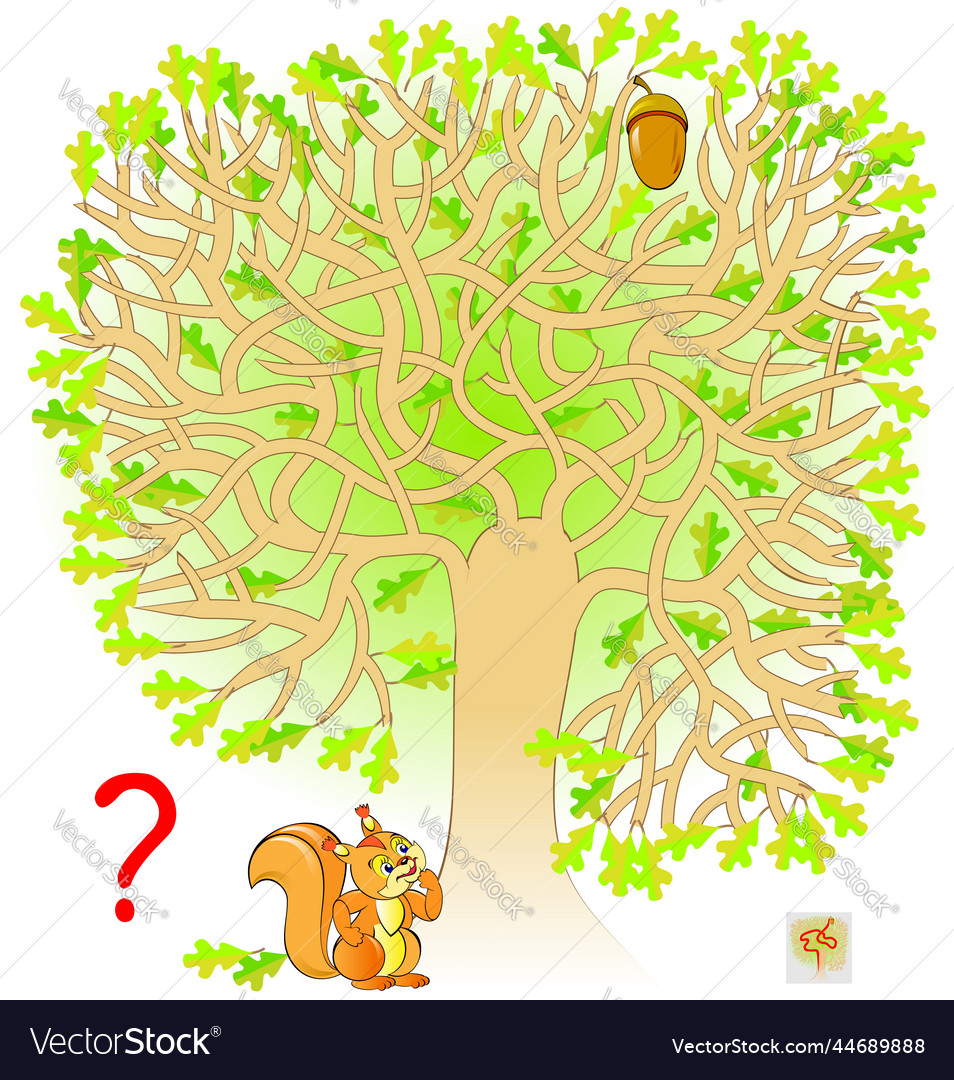 Help the squirrel find the way to the acorn logic Vector Image