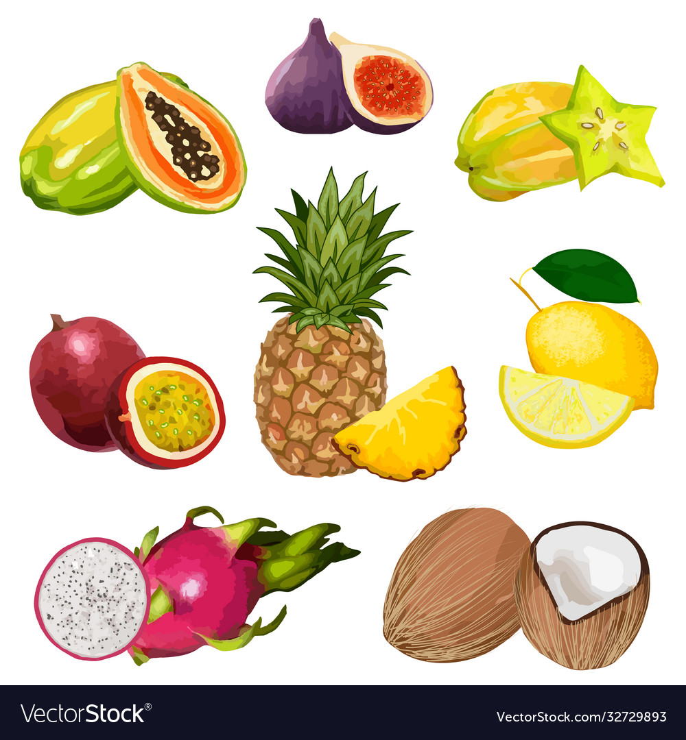 Colored set tropical fruits Royalty Free Vector Image