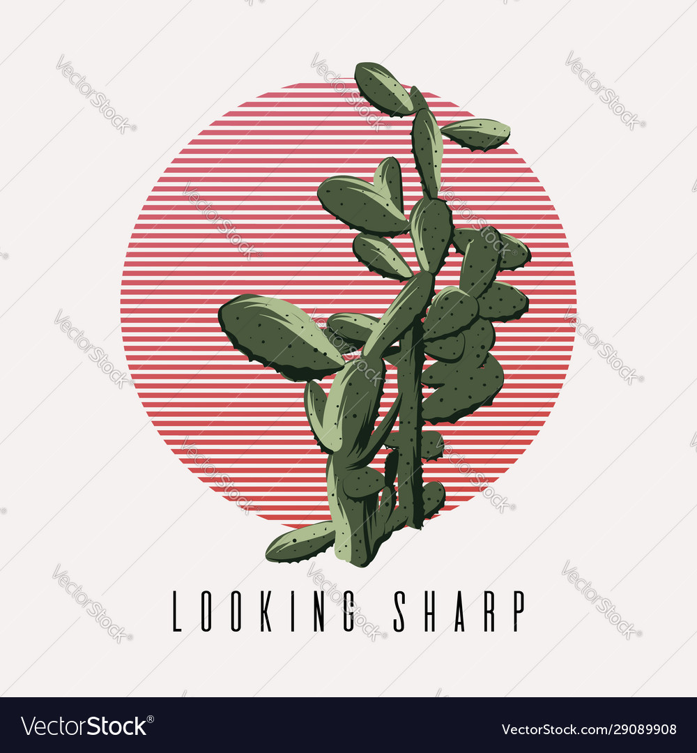 Looking sharp hand drawn cactus Royalty Free Vector Image