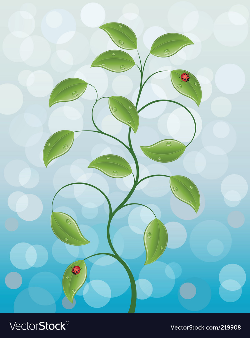 Plant Royalty Free Vector Image - VectorStock