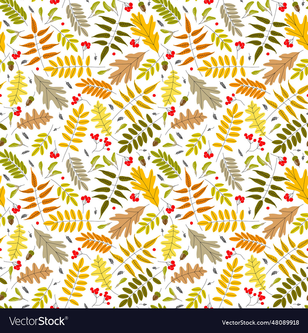 Falling autumn leaves berries seeds and acorns Vector Image