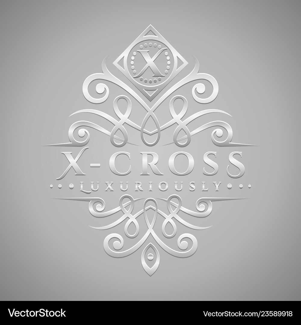 Letter x logo - classic luxurious silver Vector Image
