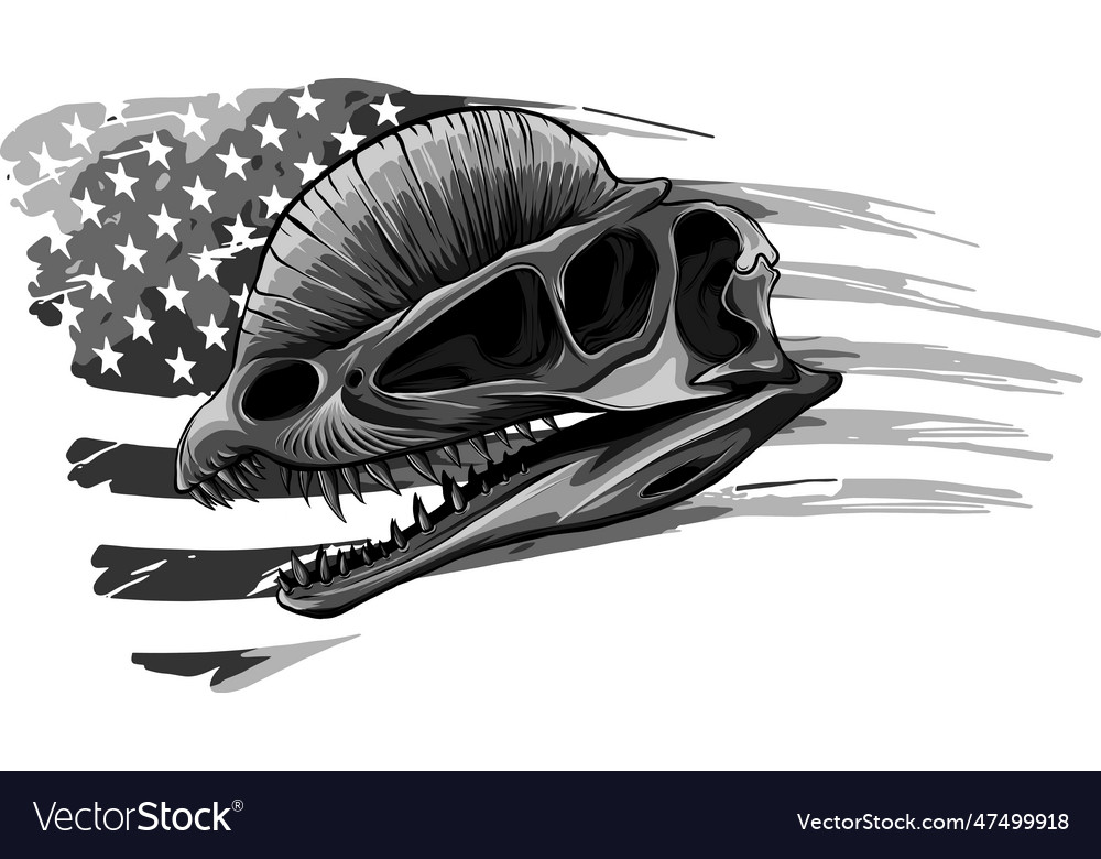 Monochromatic dilophosaurus dinosaur skull fossil Vector Image Monochromatic dilophosaurus dinosaur skull fossil Vector Image