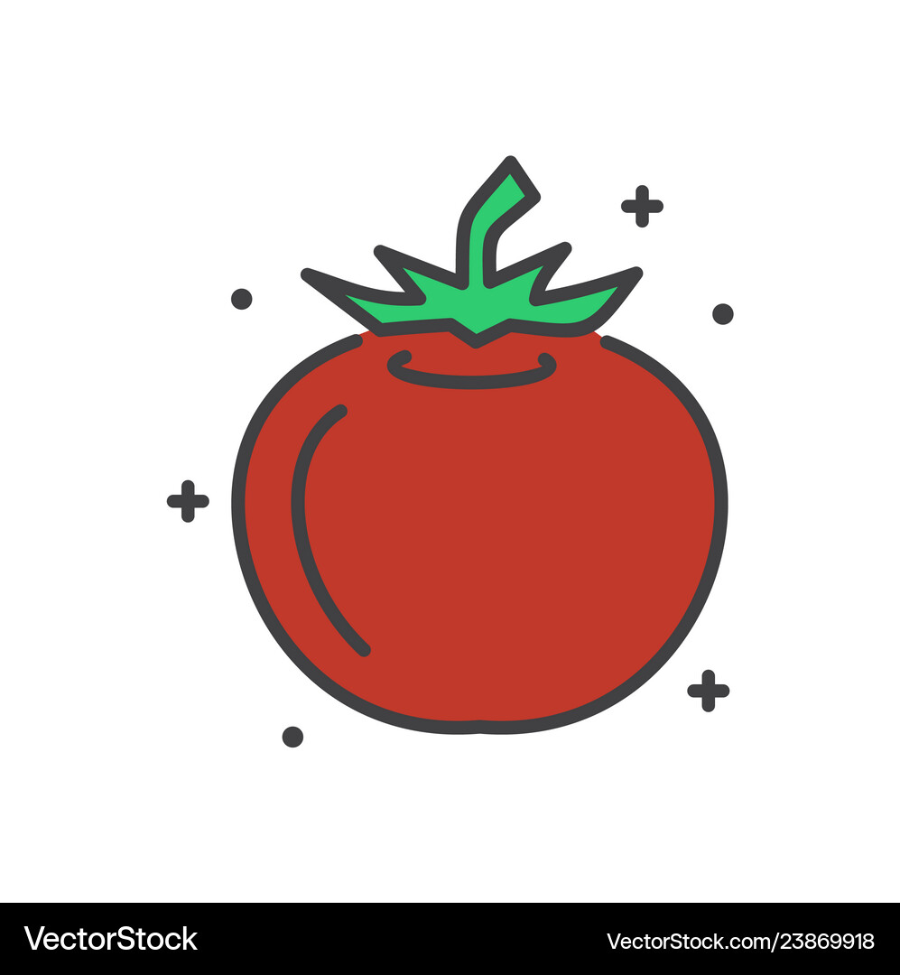 Tomato line icon on white background for graphic Vector Image