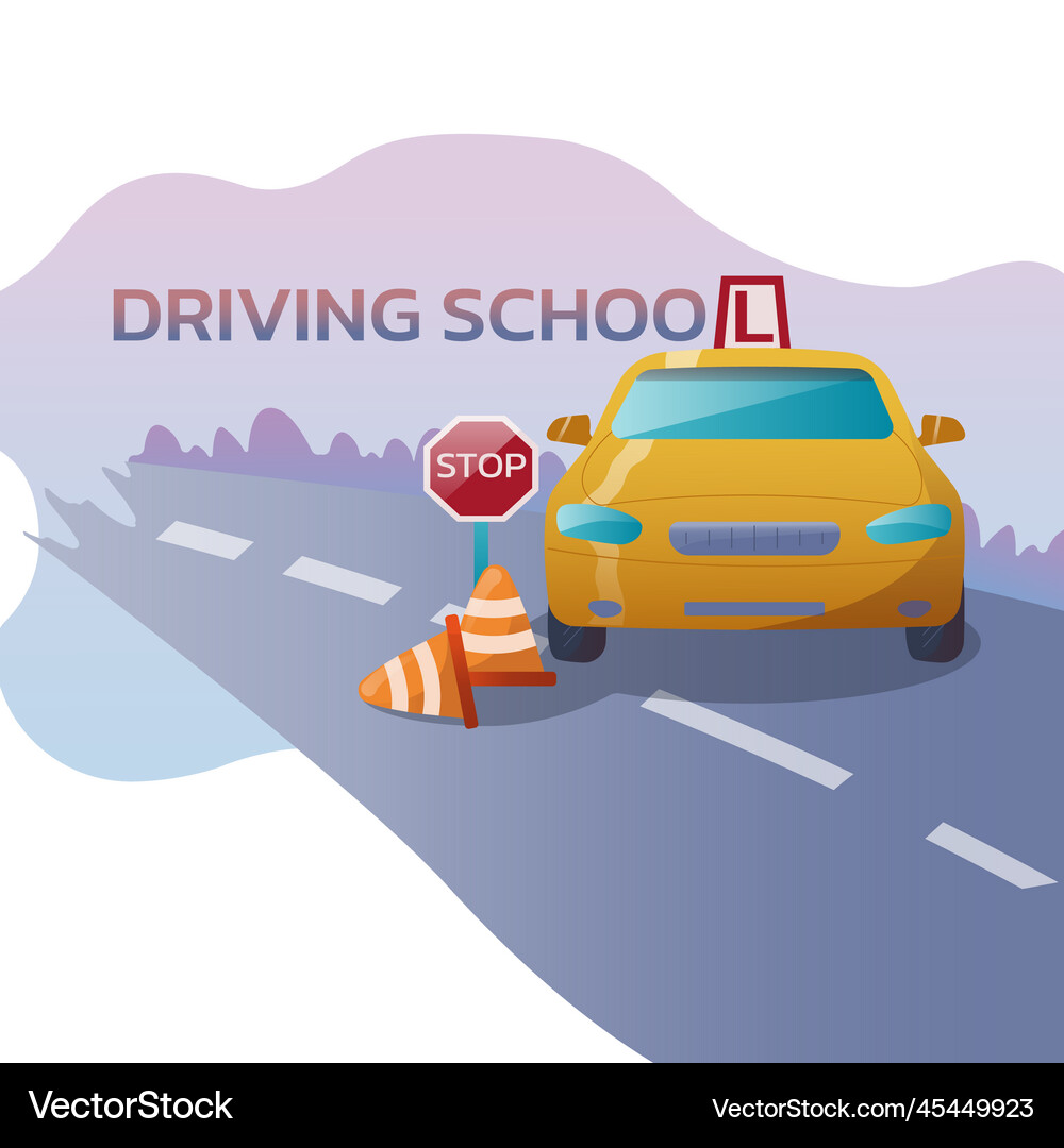 Education and drive lesson modern flat cartoon Vector Image