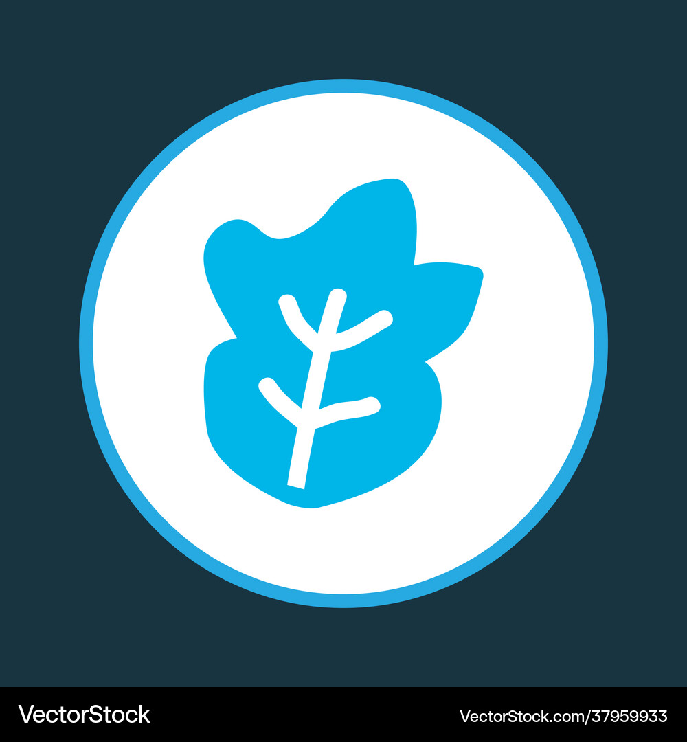 Salad icon colored symbol premium quality Vector Image
