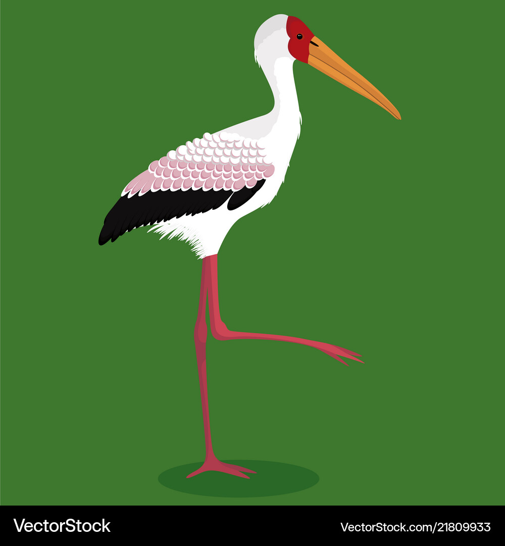 Yellow billed stork cartoon bird Royalty Free Vector Image