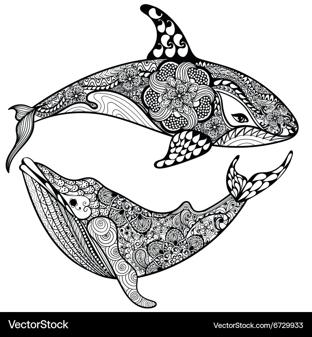 Zentangle stylized Sea Shark and Whale Hand Drawn Vector Image