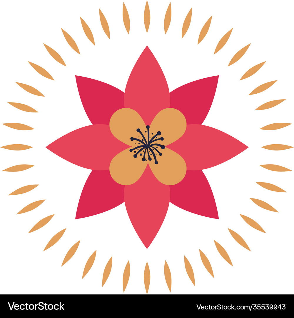 Red and yellow flower on a white background Vector Image