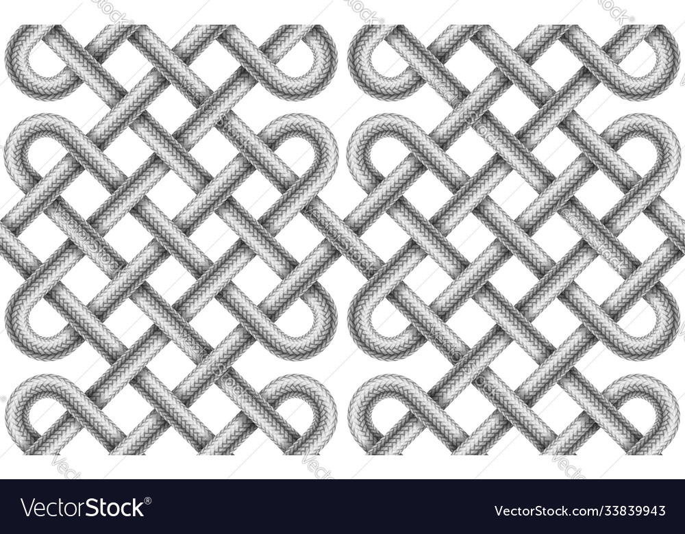 Seamless pattern braided cable Royalty Free Vector Image