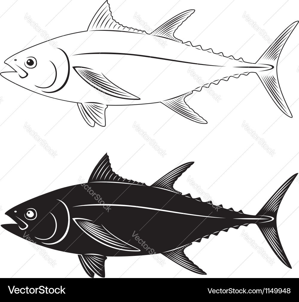 Tuna fish Royalty Free Vector Image - VectorStock