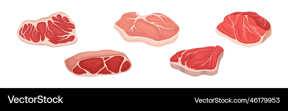 Different meat product with beef and lamb cuts Vector Image