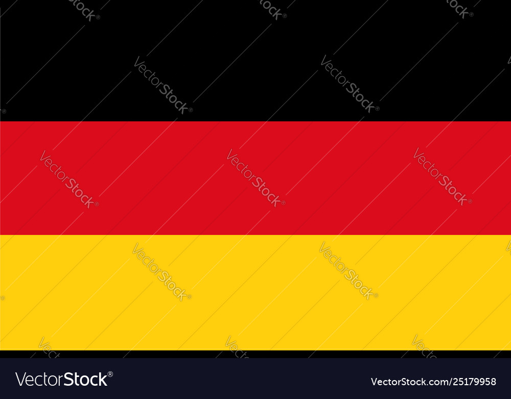 Flag rectangular shape Royalty Free Vector Image