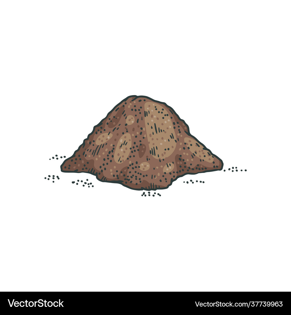 Heap ground black pepper engraving hand drawn Vector Image