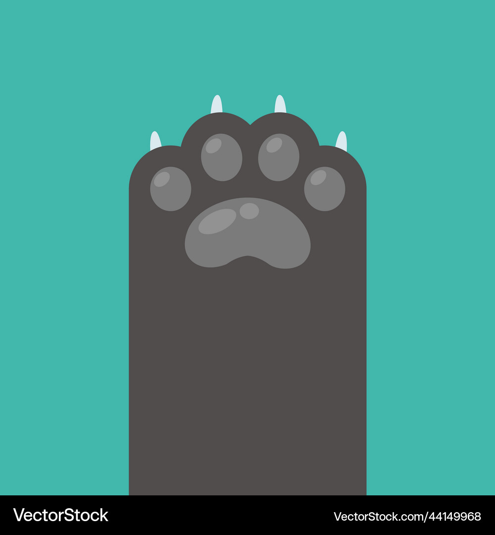 Dog and cat paws with sharp claws cute animal Vector Image