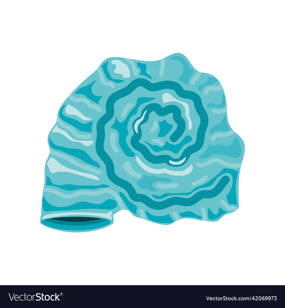 Blue sea shell Royalty Free Vector Image - VectorStock