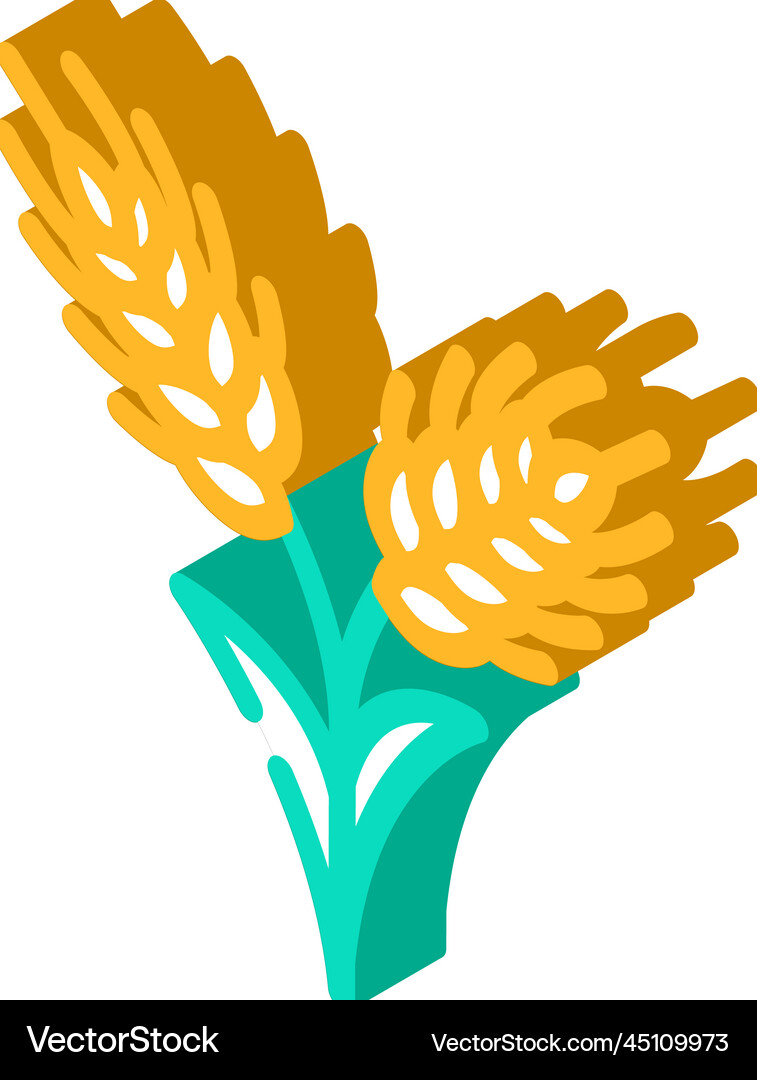 Rye plant food isometric icon Royalty Free Vector Image
