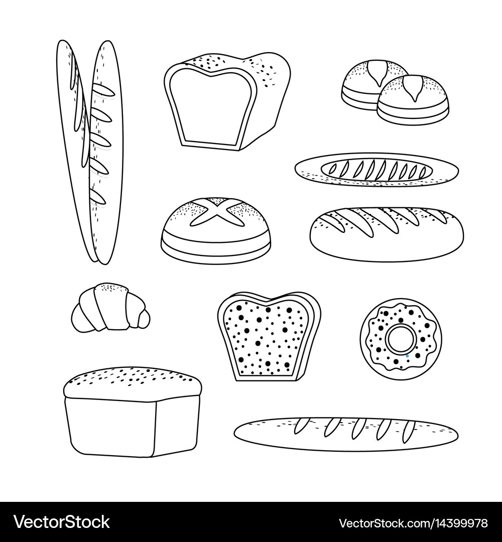 Delicious fresh different types of breads Vector Image