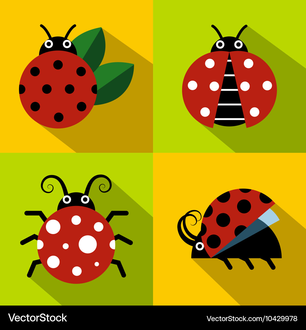 Ladybug icons in flat style on color background Vector Image