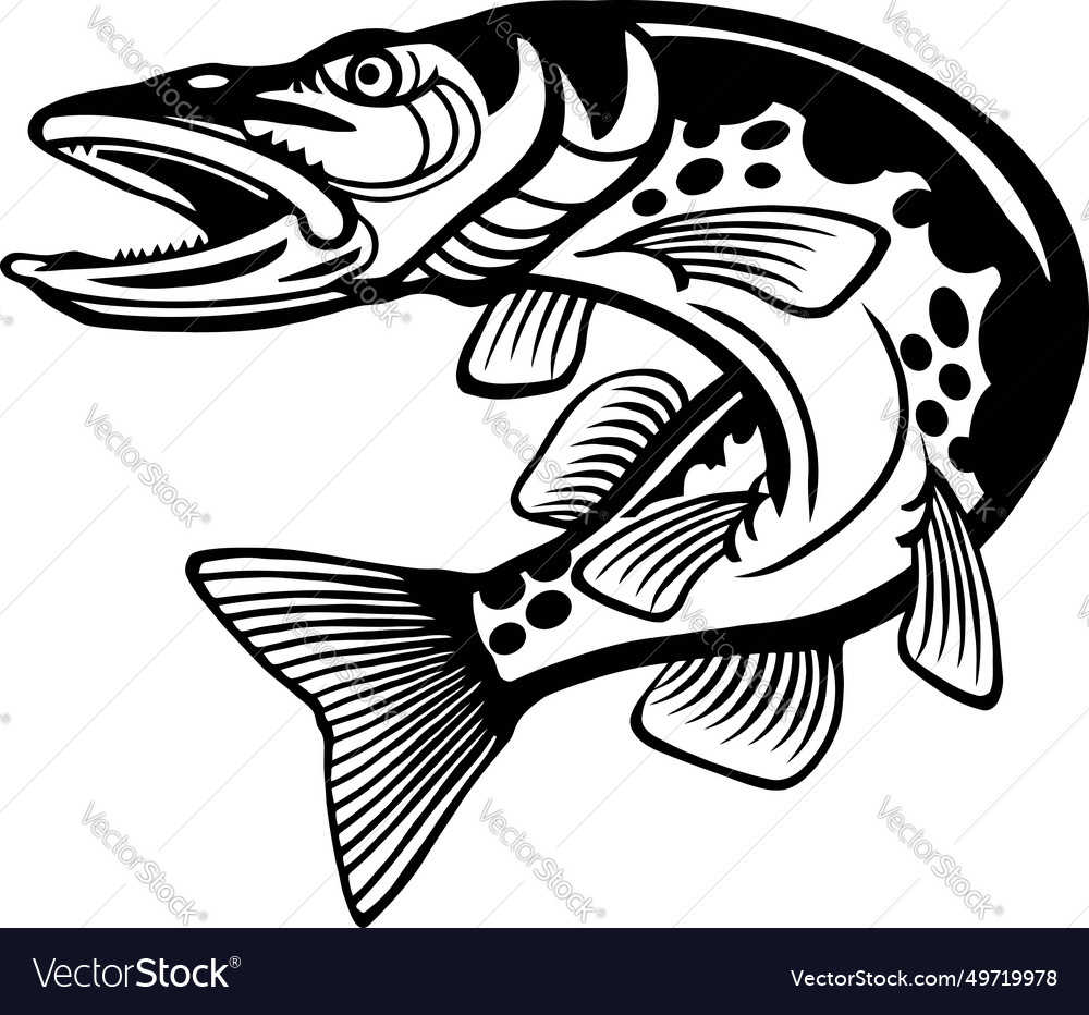 Pike - american fishes - logo fish Royalty Free Vector Image