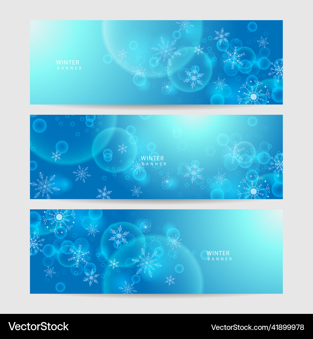 Winter cool blue snowflake design template banner Vector Image