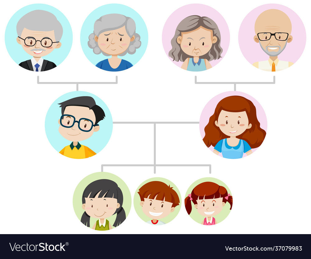 Diagram Showing Three Generation Family Tree Vector Image