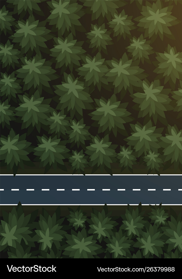 Aerial top view forest and road Royalty Free Vector Image