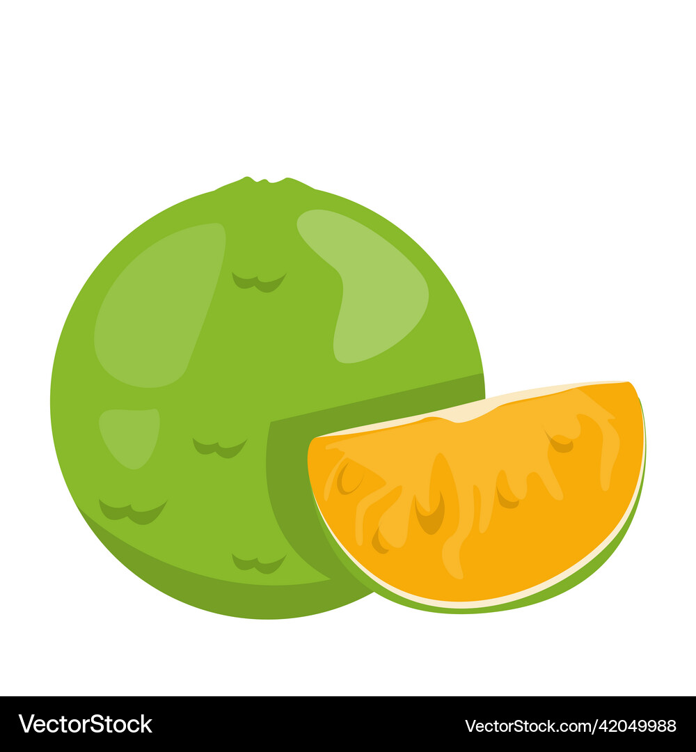 Calamansi lime isolated juicy raw fruit Royalty Free Vector