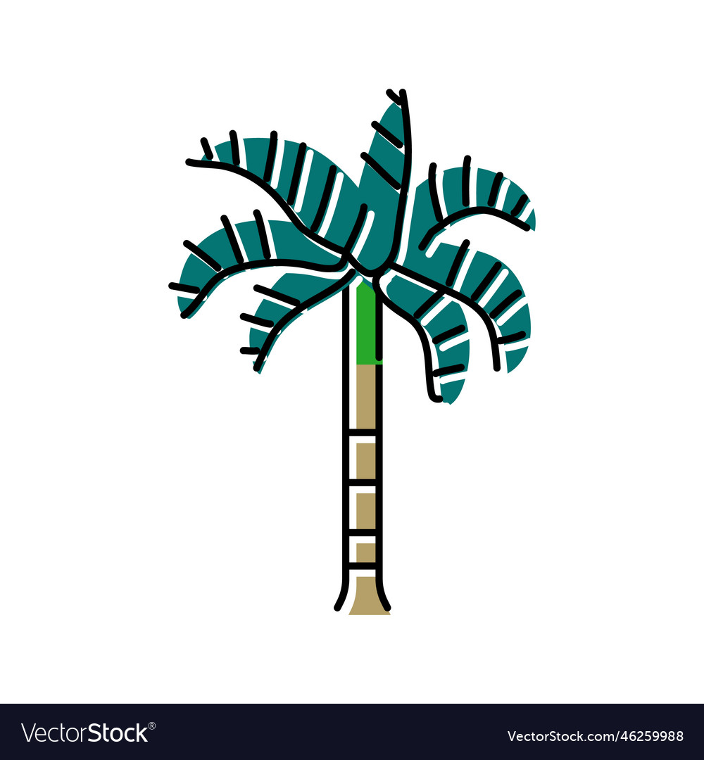 Foxtail palm tree color icon Royalty Free Vector Image Foxtail palm tree color icon Royalty Free Vector Image