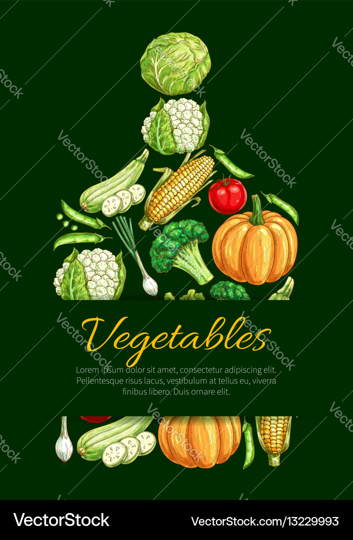 Vegetables and organic veggies poster Royalty Free Vector