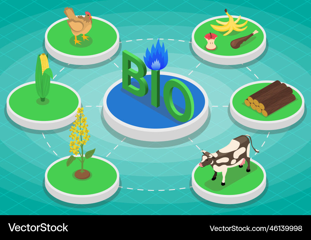 Bio fuel production infographics Royalty Free Vector Image