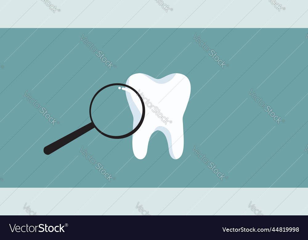 Healthy clean white molar tooth being examined Vector Image