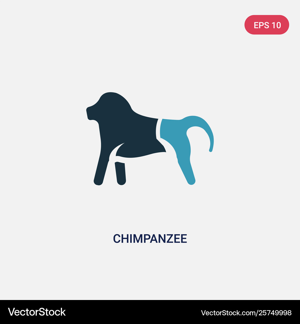 Two color chimpanzee icon from animals concept Vector Image